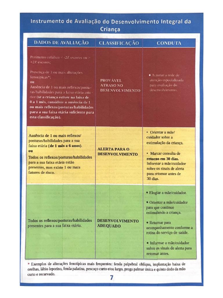 Instrumento de Avaliação Do Desenvolvimento Integral Da | PDF