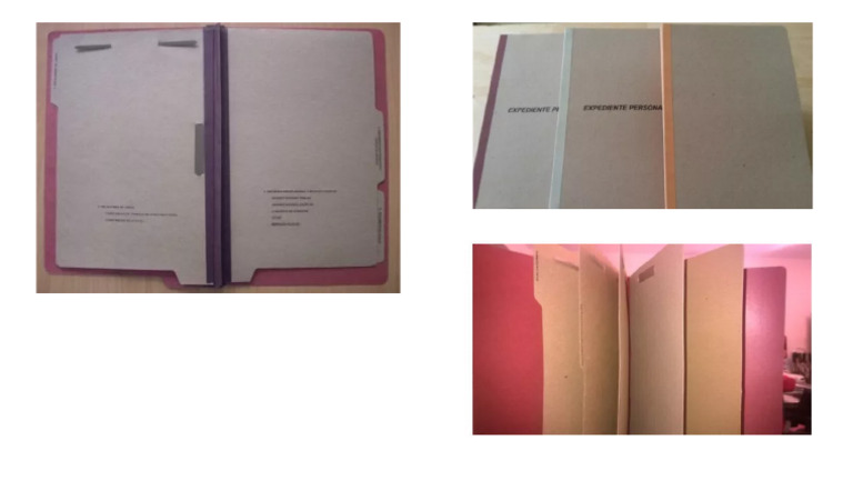 Carpetas expedientes | PDF