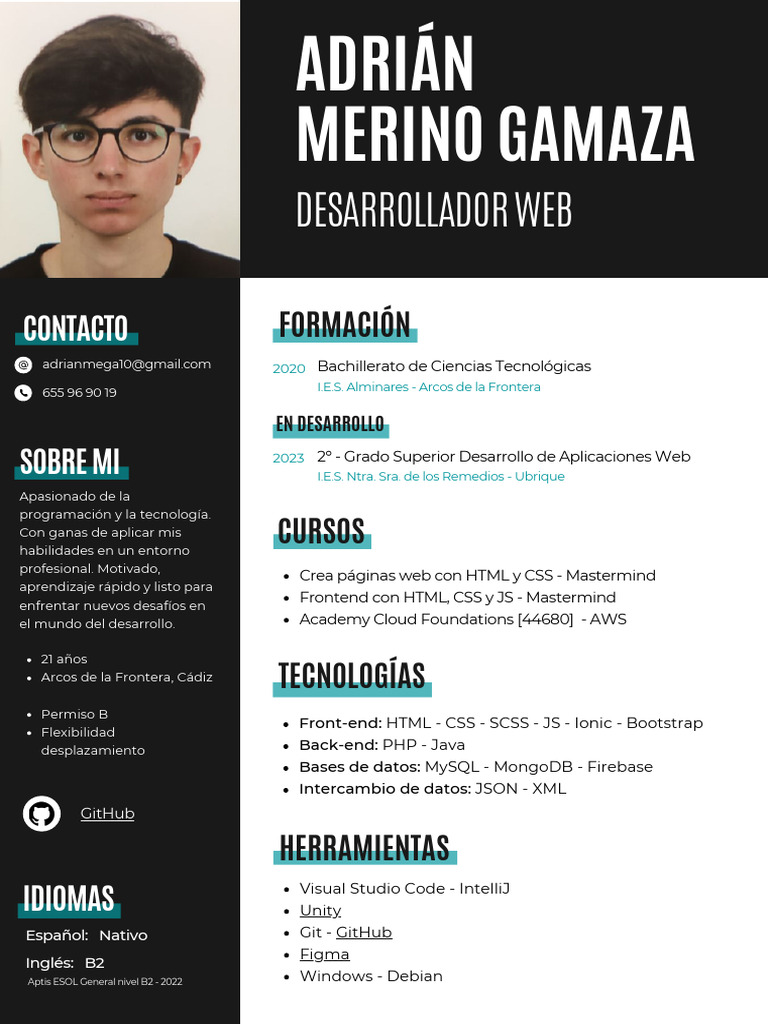 CV Adrián Merino Gamaza | PDF