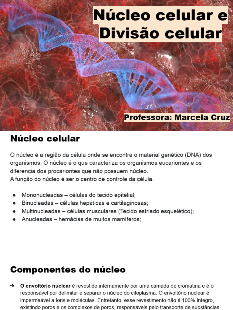 Estrutura e Função do Núcleo Celular | PDF | Meiose | Núcleo celular
