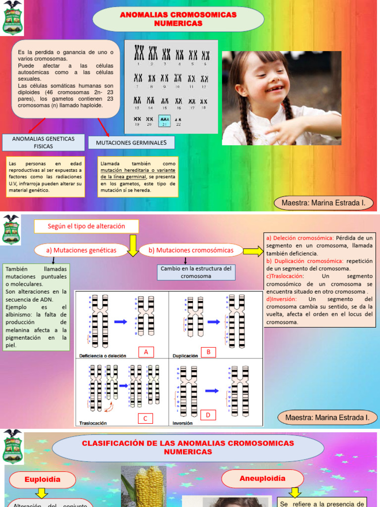 Anomalias Cromosomica Numericas | PDF | Mutación | Cromosoma