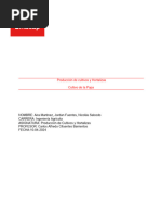 Morfologia Papa | PDF | Tallo de la planta | Patata