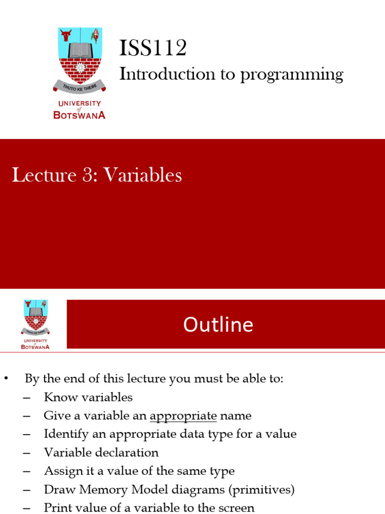Lecture 3 Variables 2024 | PDF | Data Type | Integer (Computer Science)