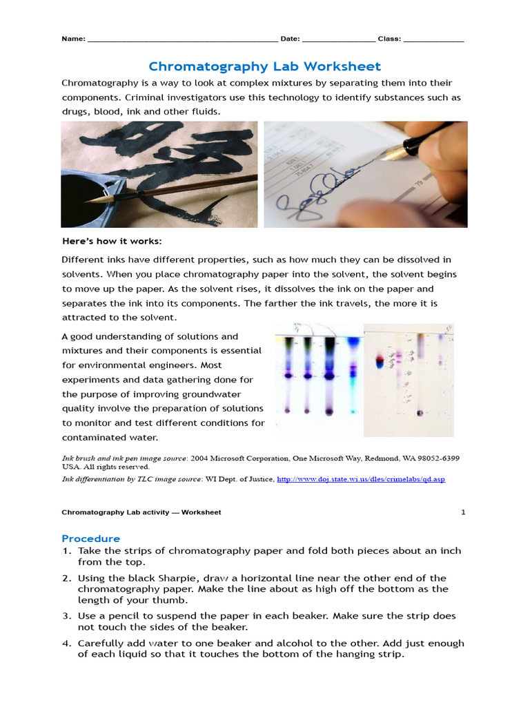 Paper Chromatography Lab Activityy | PDF | Chromatography | Ink