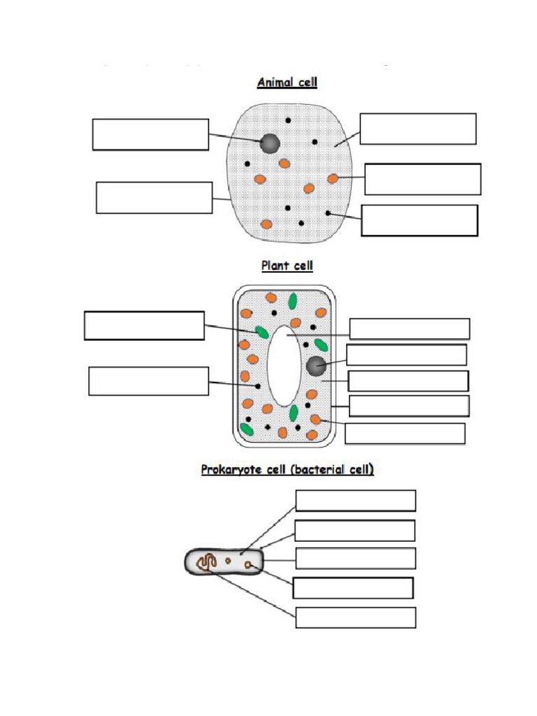 Science Worksheet Practice | PDF