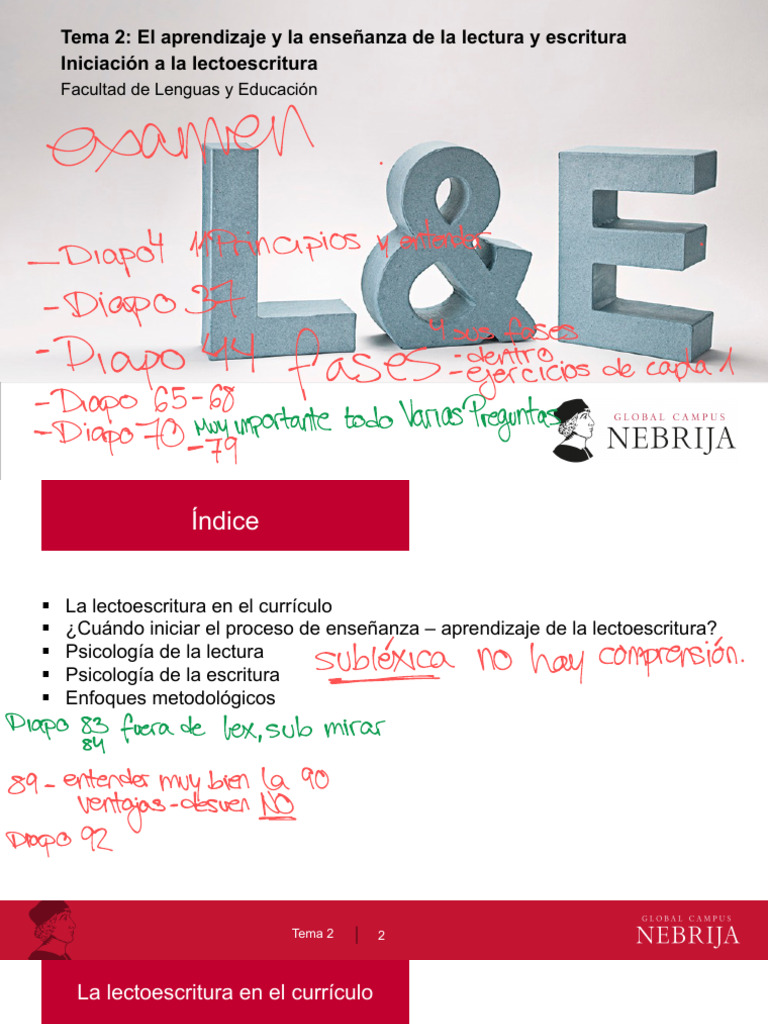 Tema 2 El Aprendizaje y La Enseñanza de La Lectura y Escritura | PDF | Educación de la primera ...