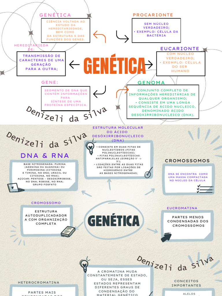 mapa mental genetica | PDF | Gene | DNA