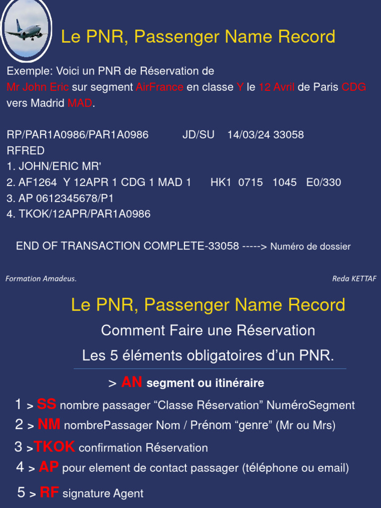 Formation Amadeus : Comprendre le PNR | PDF