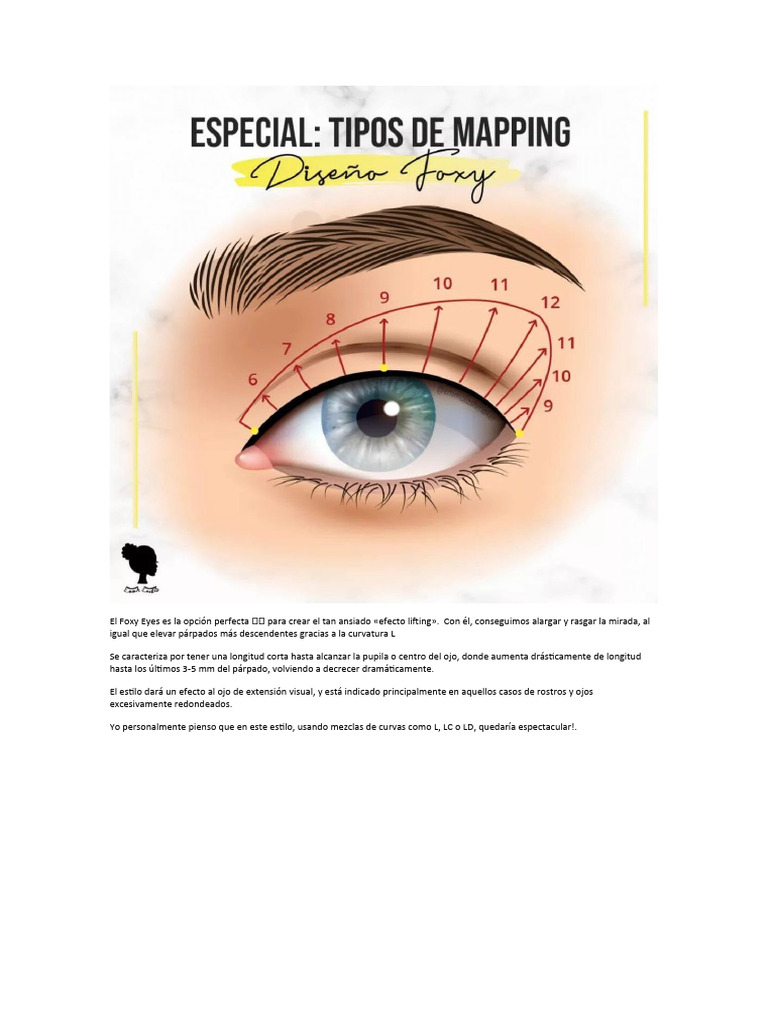 Tipos de Maping para Pestañas | PDF | Ojo