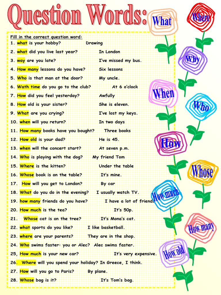 Question Words Practice Exercises | PDF | Animals And Humans