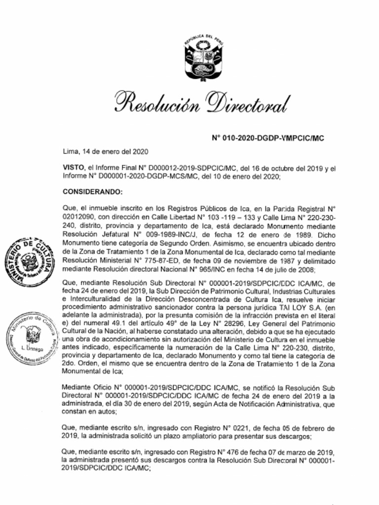 Rdn° 010-2020-Dgdp-Vmpcic-Mc | PDF