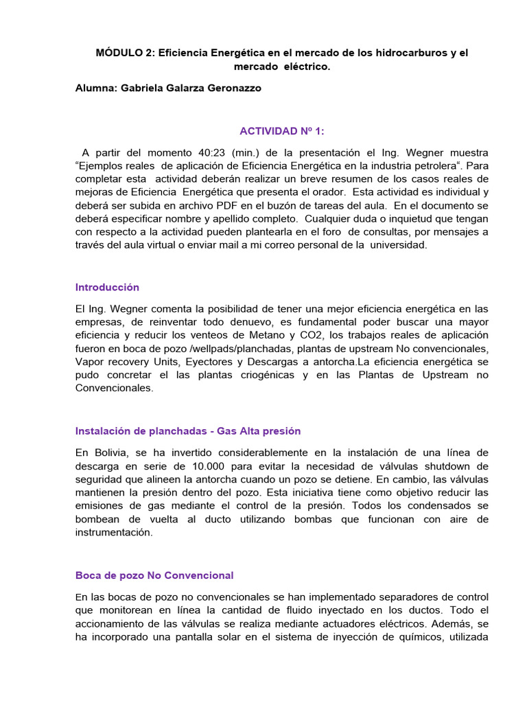 Modulo 2 Actividad Practica Ee (Gabriela Galarza Geronazzo) | PDF | Generación eléctrica ...