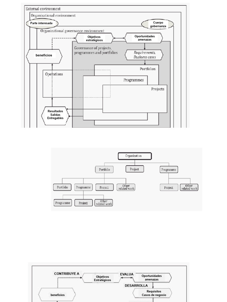 Graficos Iso 21500 - 2021 | PDF