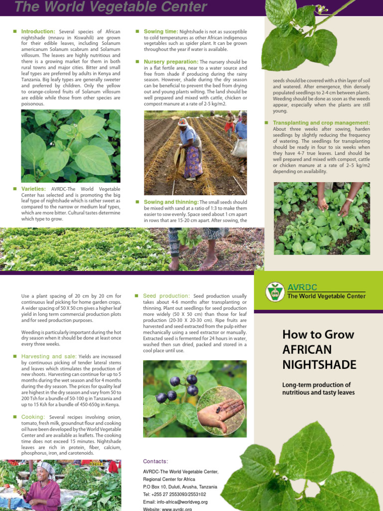 Grow_African_nightshade | PDF | Agriculture | Agronomy