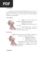 Músculos Do Crânio | PDF | Morfologia (Biologia) | Rosto