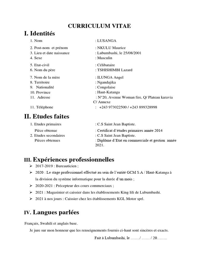 CV de Maurice Nkulu - Haut-Katanga | PDF