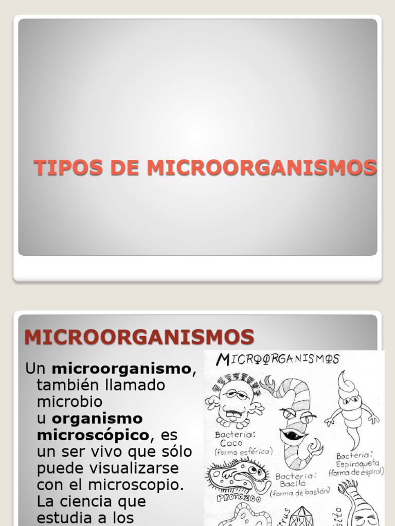 TIPOS DE MICROORGANISMOS | Descargar gratis PDF | Microorganismo | Las ...