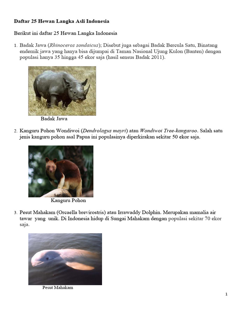 Daftar 25 Hewan Langka Asli Indonesia | PDF