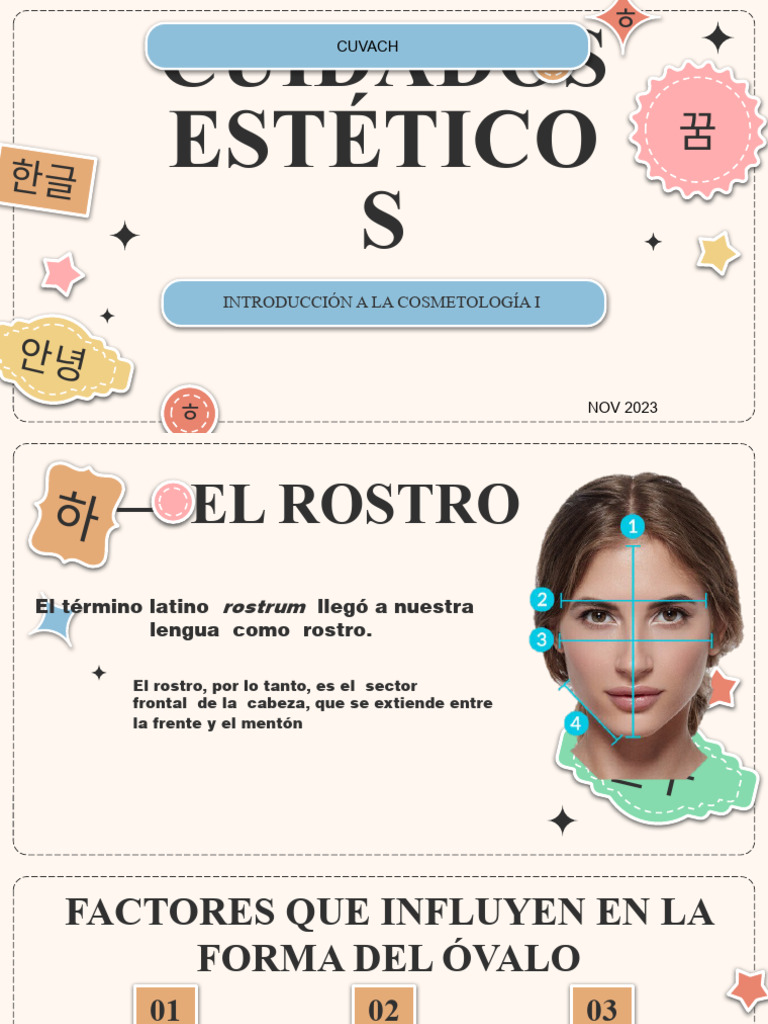 El Rostro | PDF | Cara | Anatomía humana