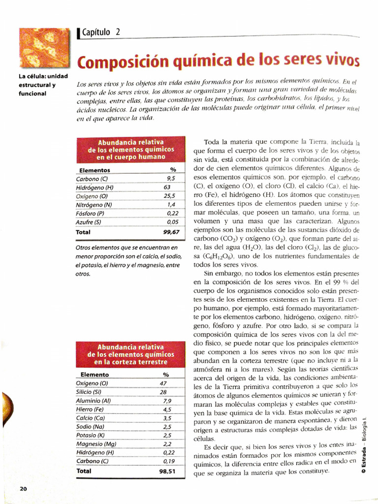 COMPOSICION_QUIMICA_DE_LOS_SERES_VIVOS | Descargar gratis PDF | Organismos | Proteínas