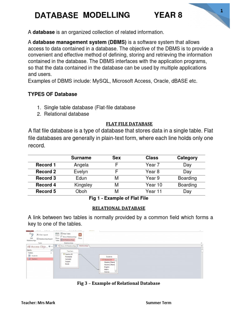Database Year 8 | Download Free PDF | Databases | Table (Database)