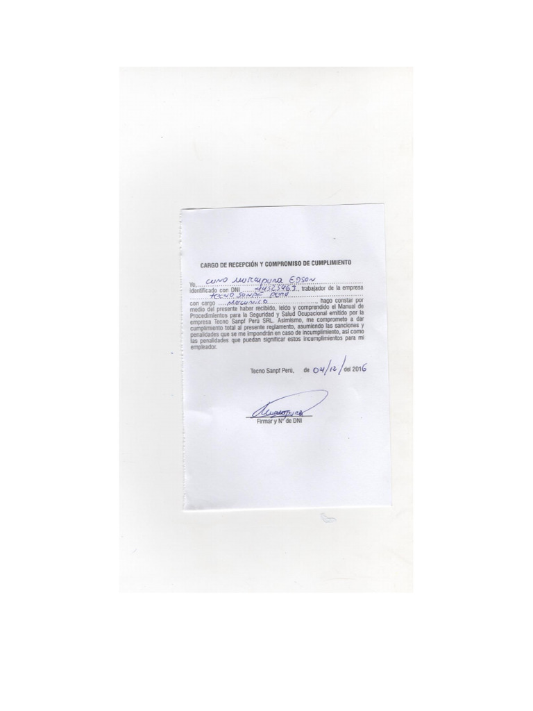 Cano Marcapura Edson | PDF