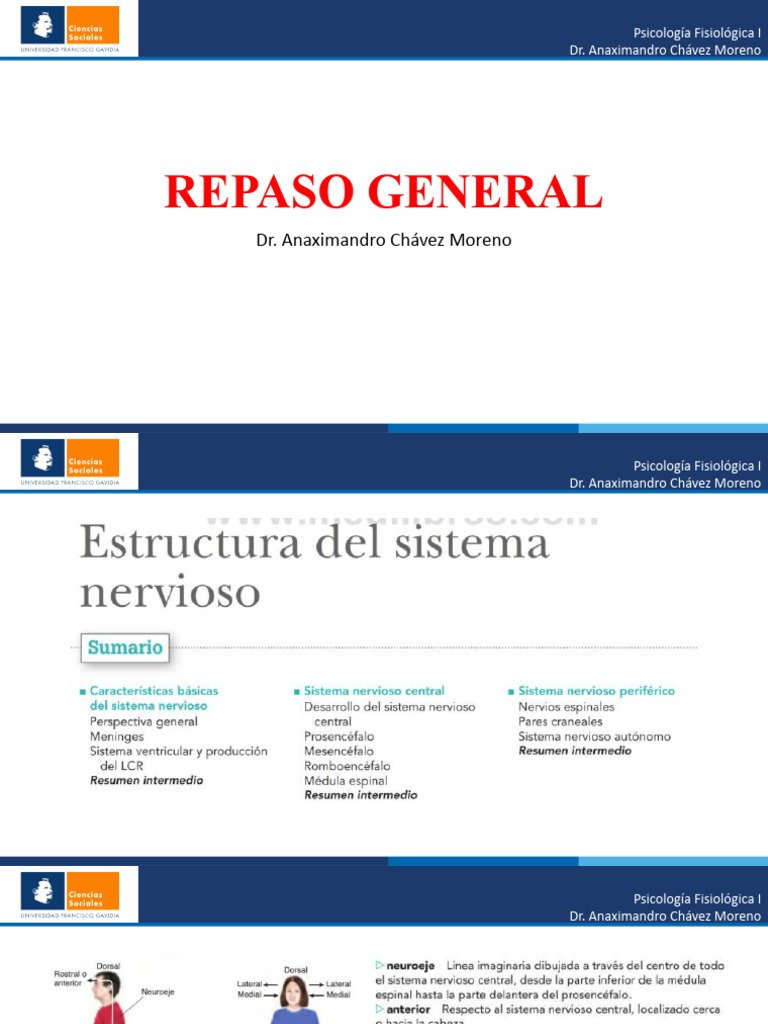 Repaso General | PDF