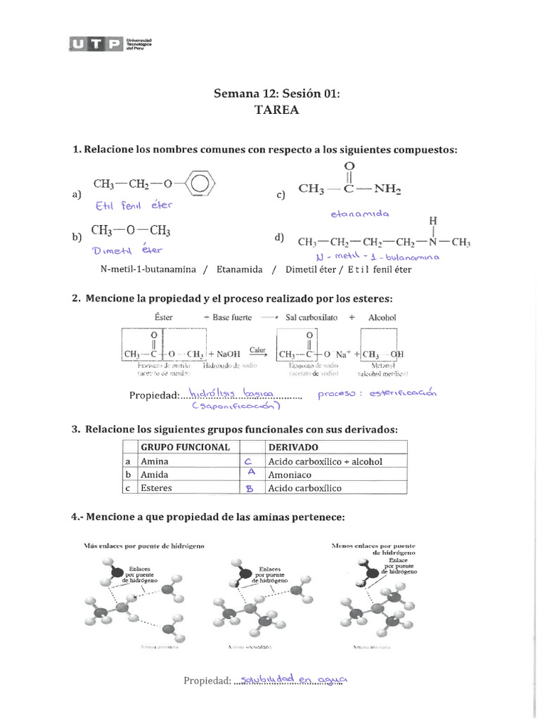 Actividad12 Quimica | PDF