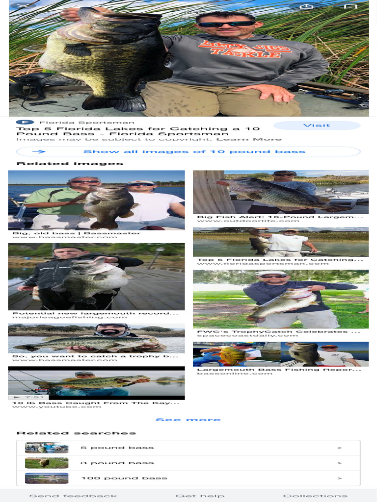 10 Pound Bass - Google Search | PDF | Blood Sports | Outdoor Recreation