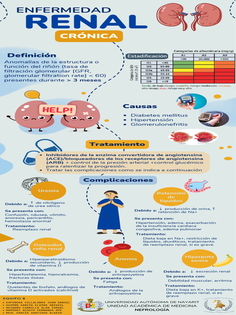 Infografía Erc - Equipo - 8 | Descargar gratis PDF | Enfermedad renal crónica | Especialidades ...