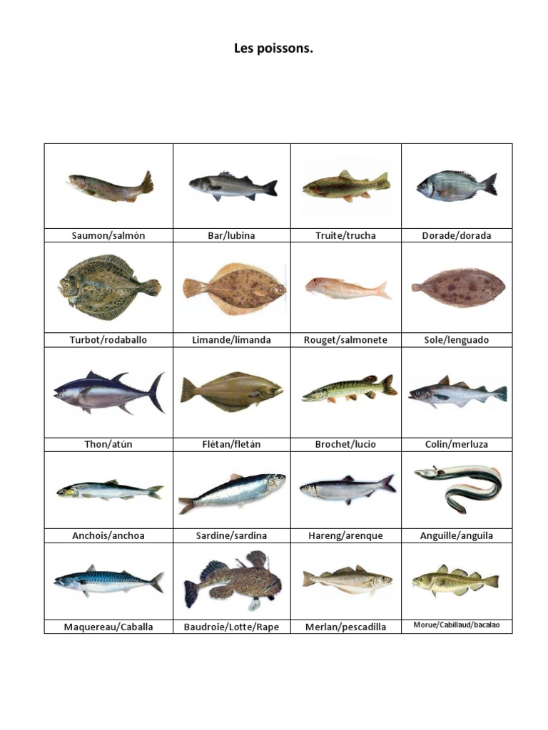 Les Poissons Traduction | PDF