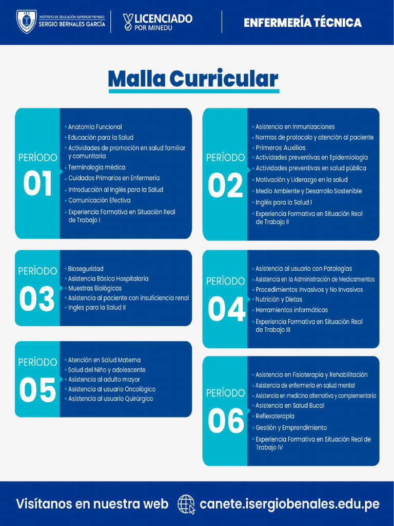Malla Curricular Enfermeria | PDF