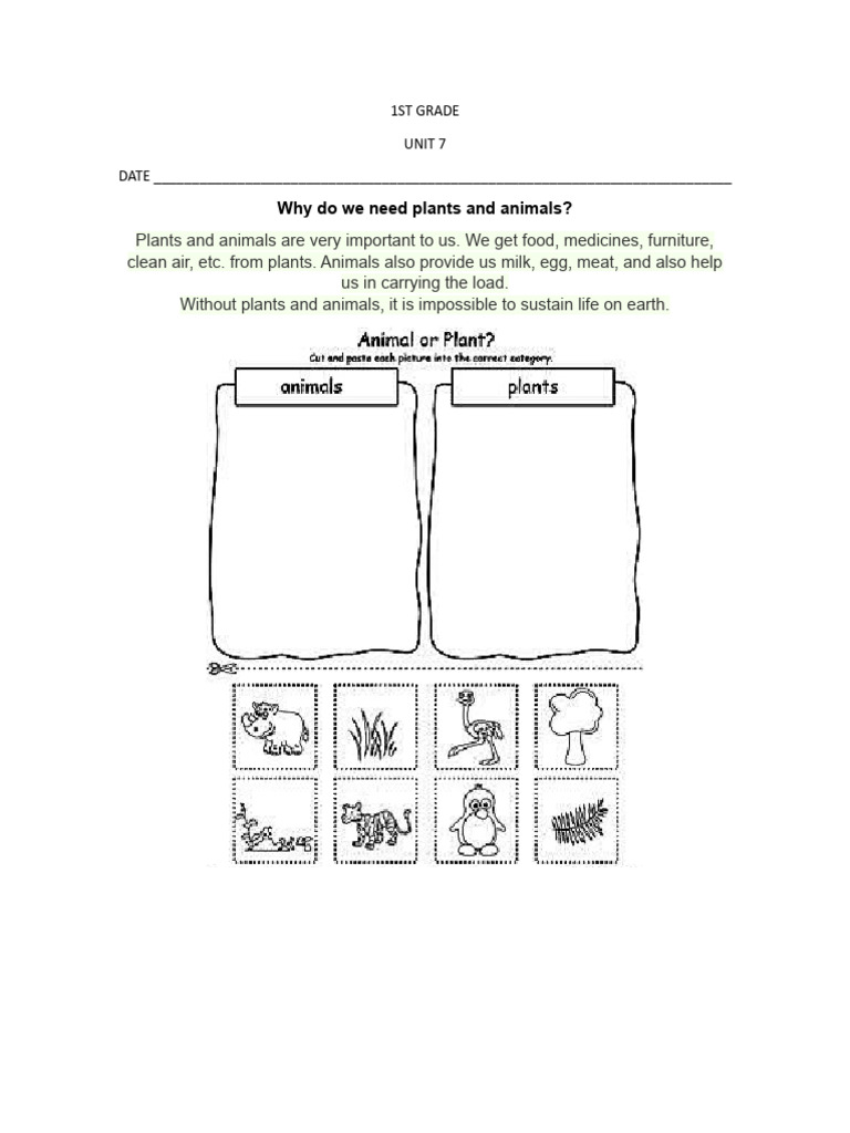 Unit 7 1st Grade 1sta Part | PDF