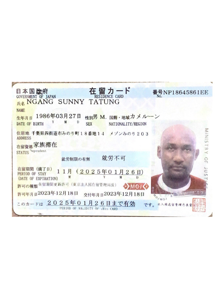 Government of Japan | PDF