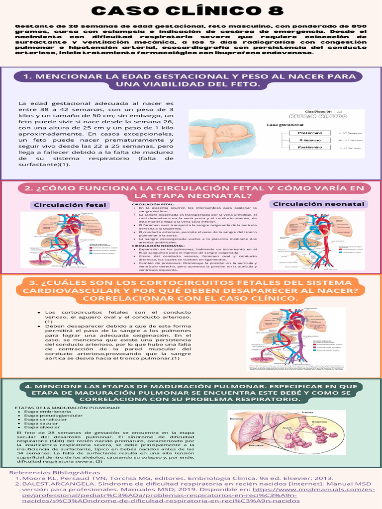 TAC 8 - Semana 10 | PDF | Feto | Sistema circulatorio