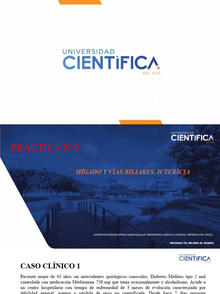 PrÁctica N°9 HÍgado Y Vias Biliares Solucionario Pdf