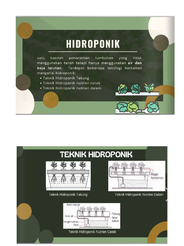 Hidroponik | PDF