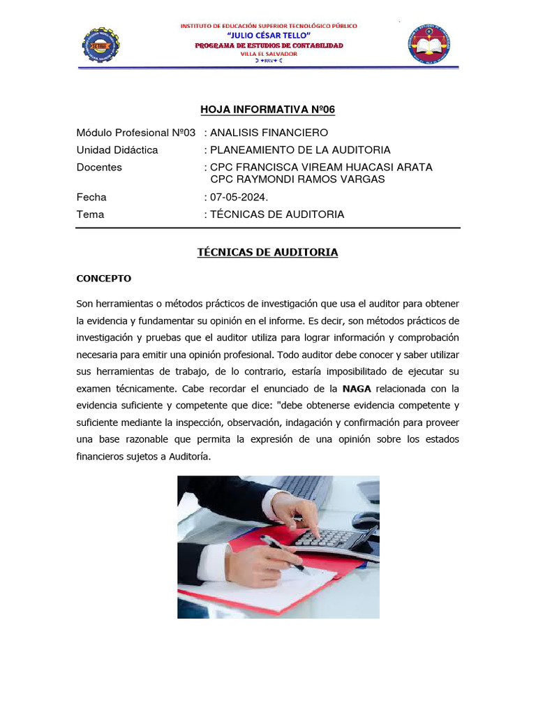 6 Hoja Informativa N-06 T-Cnicas de Auditoria | PDF | Auditoría