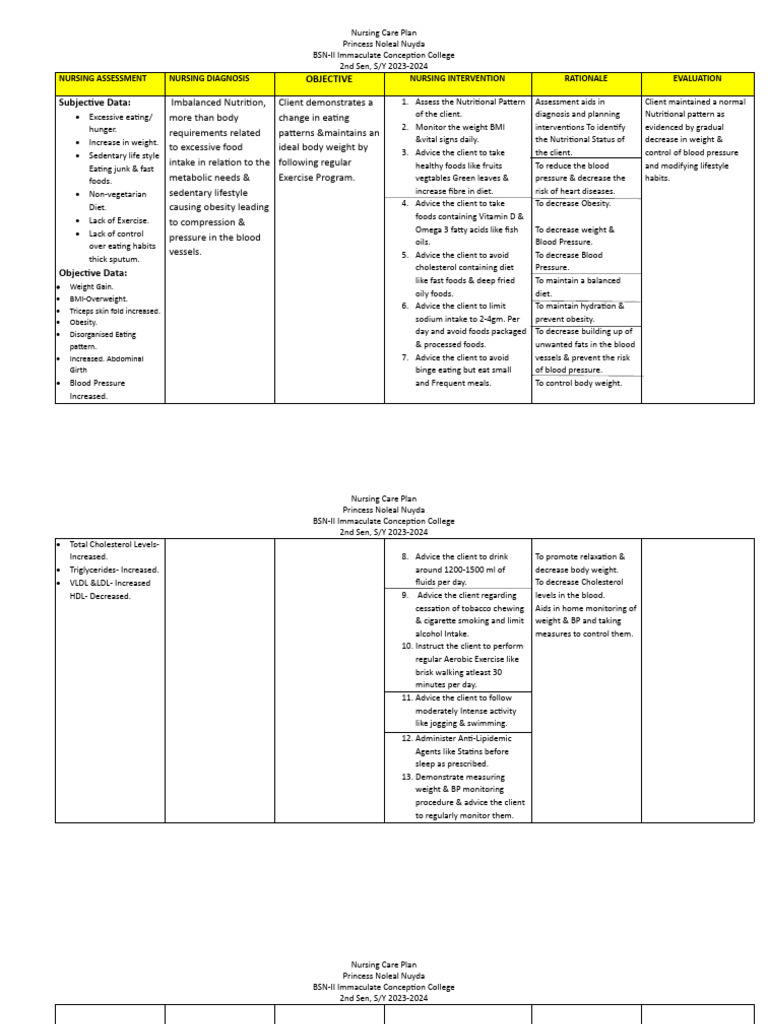 Nursing Care Plan Princess | PDF | Obesity | Diet (Nutrition)