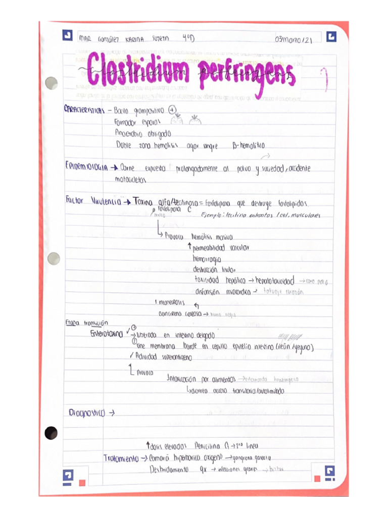 Clostridium Perfringens | PDF