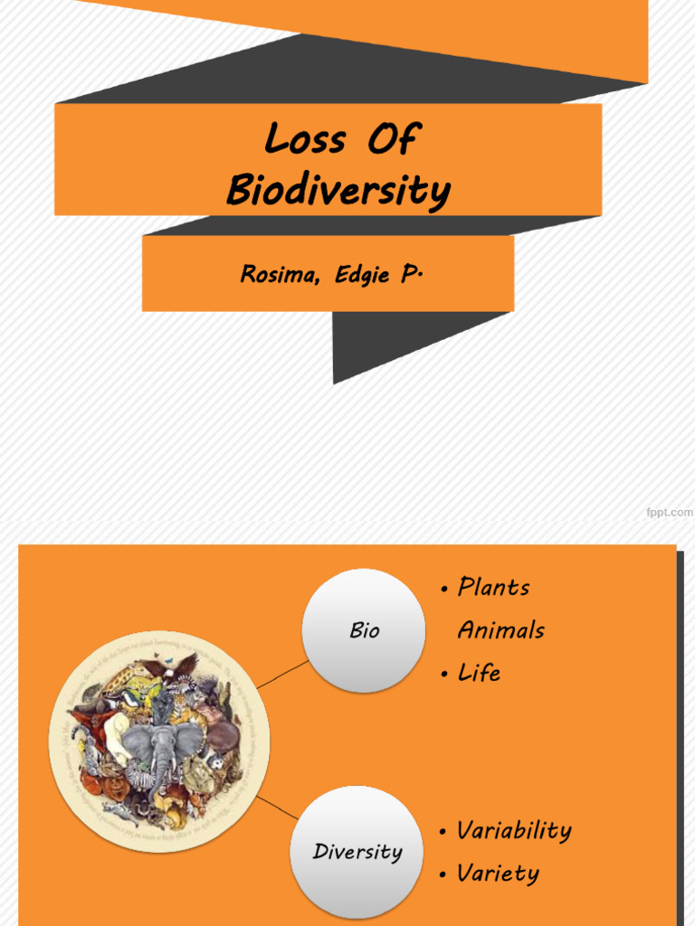 Loss of Biodiversity | PDF | Biodiversity | Ecosystem
