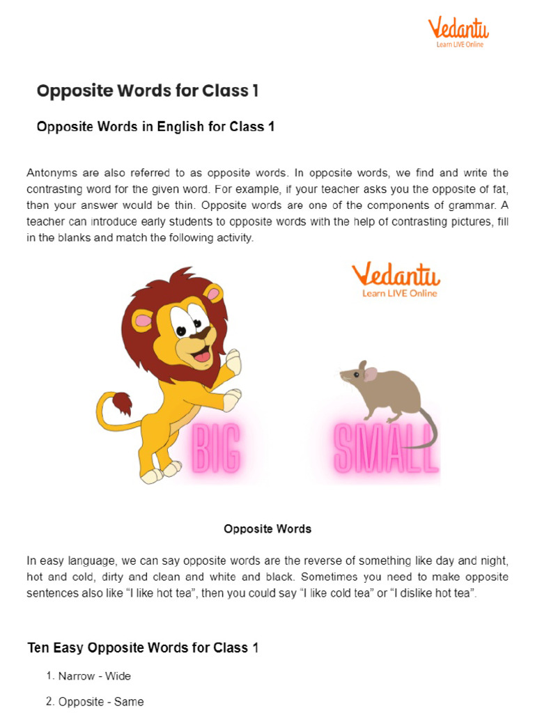 Opposite Words For Class 1 | PDF