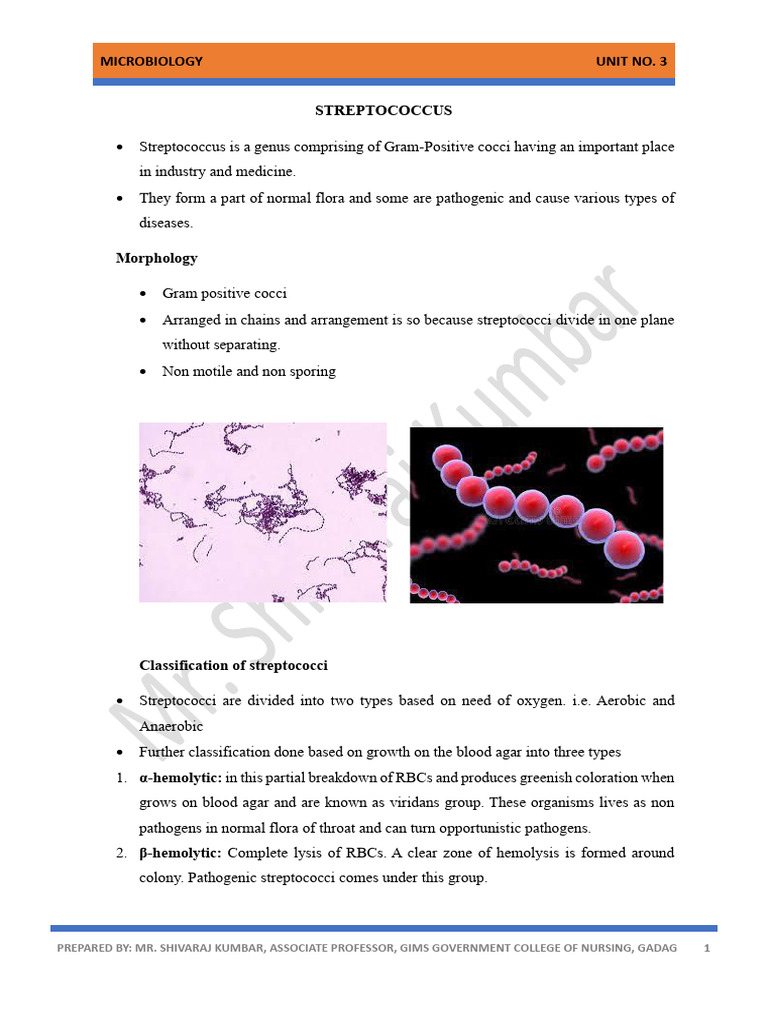 Staphylococcus | PDF | Streptococcus | Infection