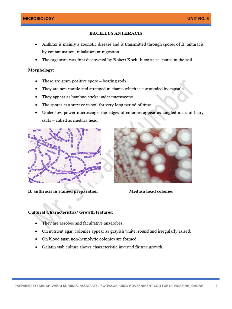 bacillus antrasis | PDF | Anthrax | Health Sciences