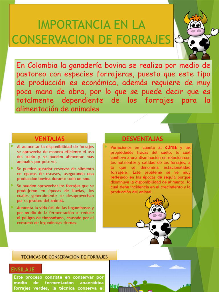 Importancia en La Conservacion de Forrajes | PDF | Pasto | Heno
