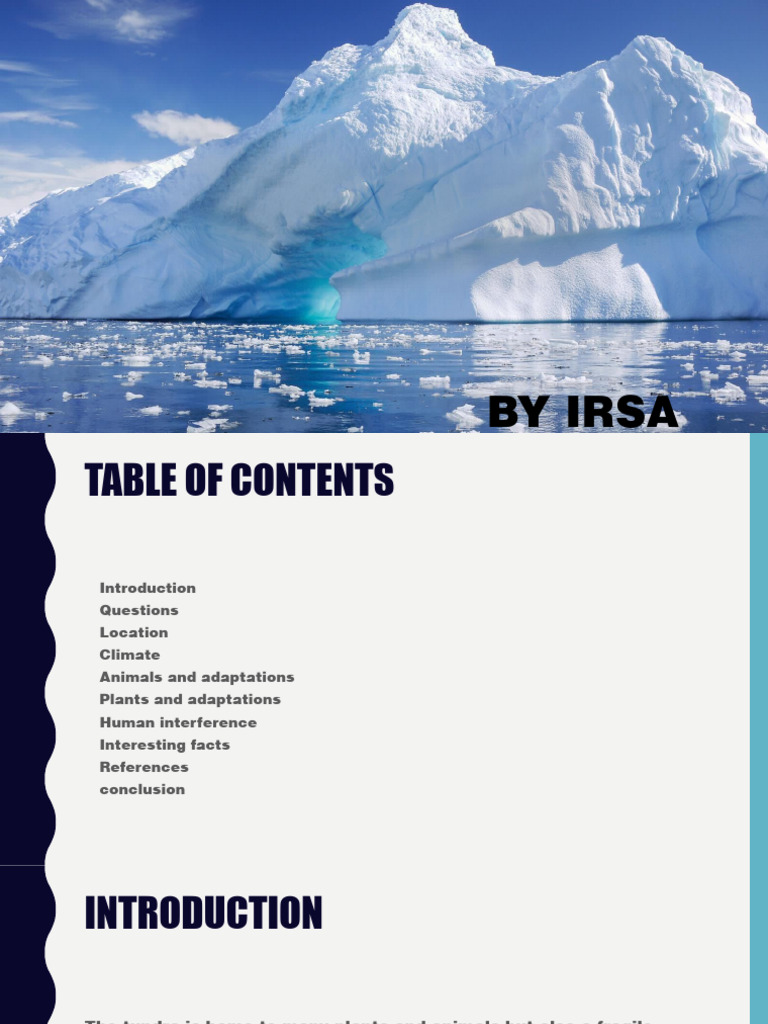 Tundra Final | PDF | Arctic | Climate