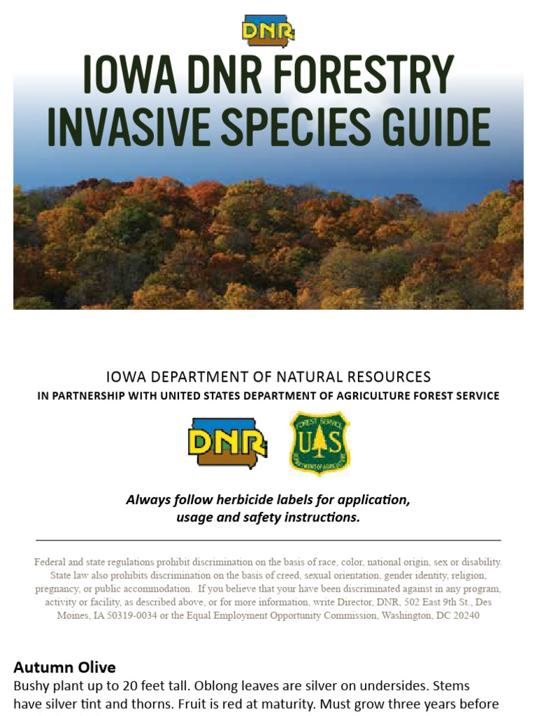 Forest Invasives Guide | PDF | Leaf | Trees