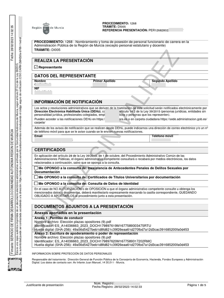 Ejemplo de Presentación Sin Validez | PDF | Gobierno