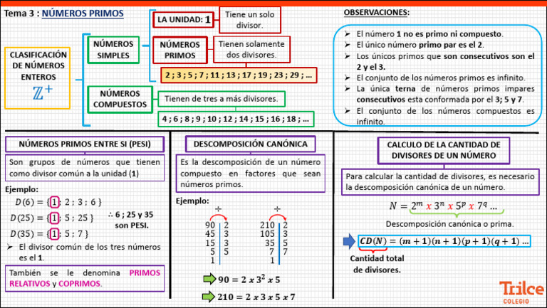 Números Primos - 4to Sec | PDF | Número primo | Números