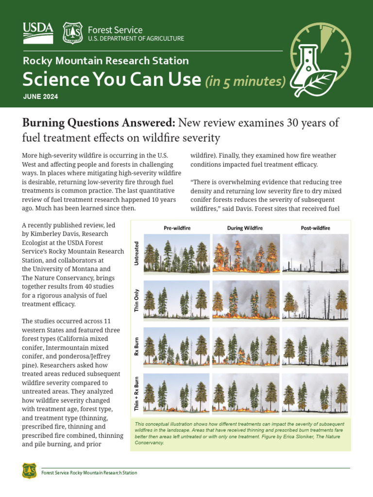 Burning Questions Answered: New Review Examines 30 Years of Fuel ...